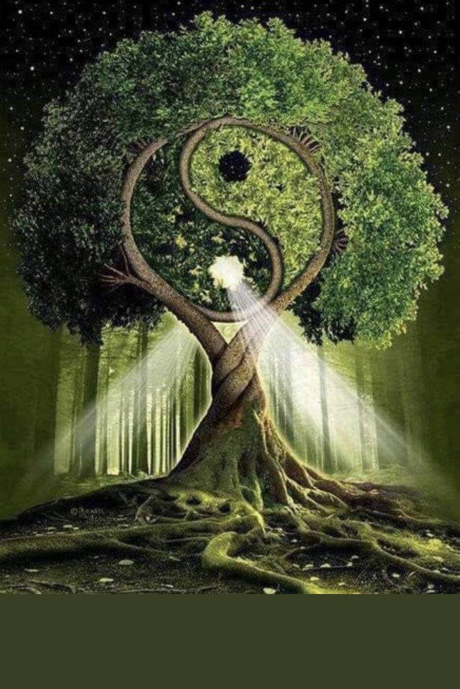 A Brief History of LSD | Shrooms Delivered