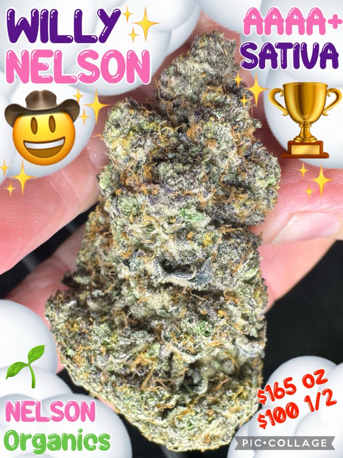 shrooms-delivered-canada-magic-mushroom-delivery