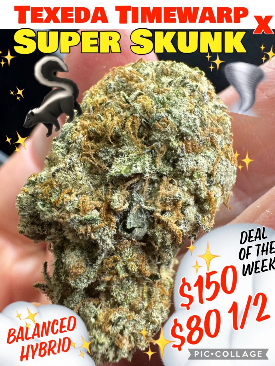 Shrooms Delivered Canada | Magic Mushroom Delivery